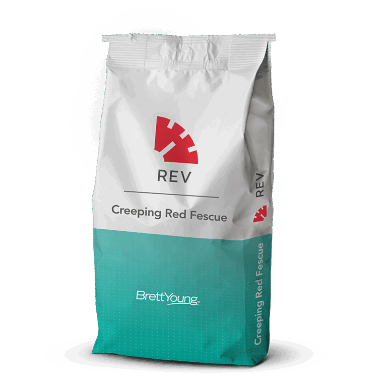 Wholesale Turf Seed - BrettYoung