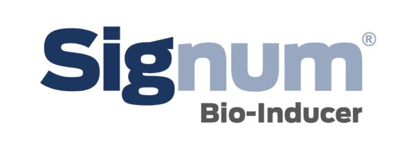 Signum Soybean - BrettYoung