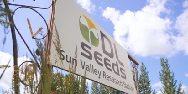 BrettYoung and DL Seeds Announce Deeper Collaboration - BrettYoung