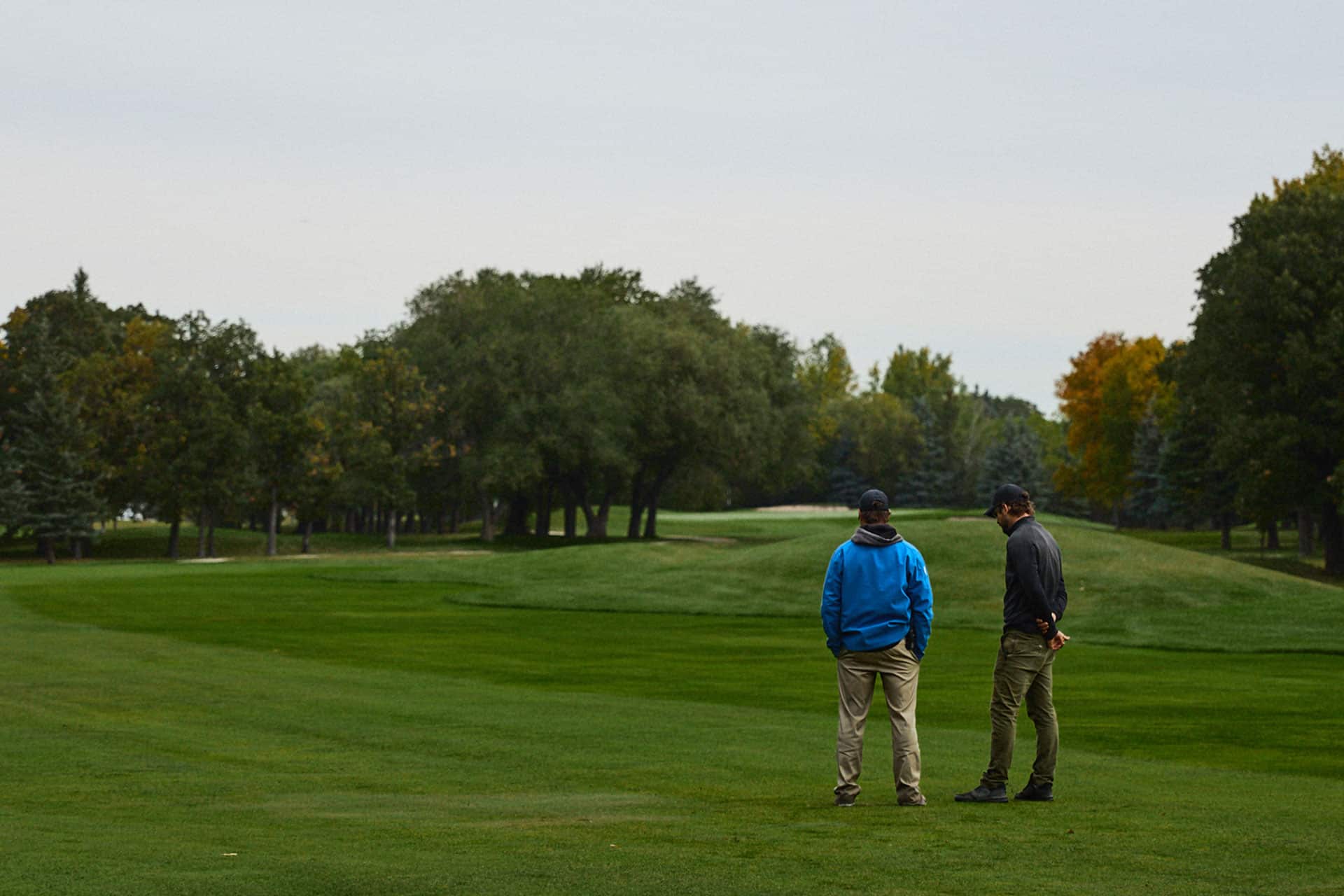 Wholesale Turf Seed Portal - BrettYoung