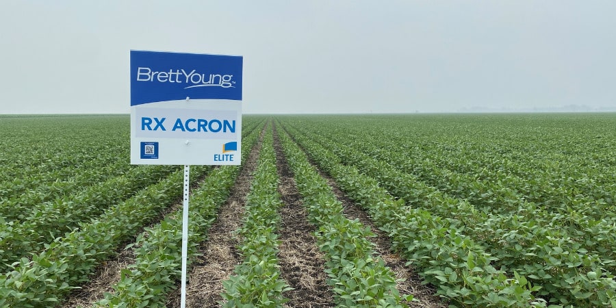 Grower Review: RX Acron Soybeans - BrettYoung