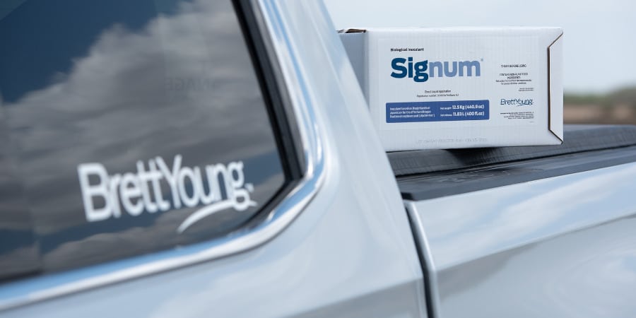 Distinct by Design: Signum Soybean with Bio-Inducer Technology - BrettYoung