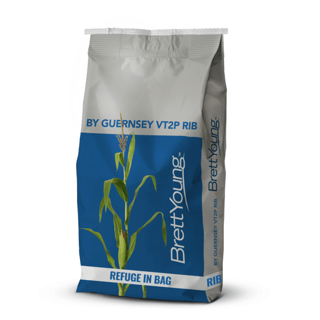 BY Guernsey VT2P RIB - BrettYoung