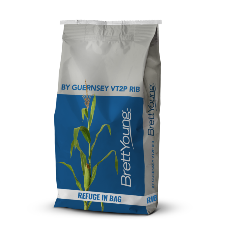 BY Guernsey VT2P RIB - BrettYoung