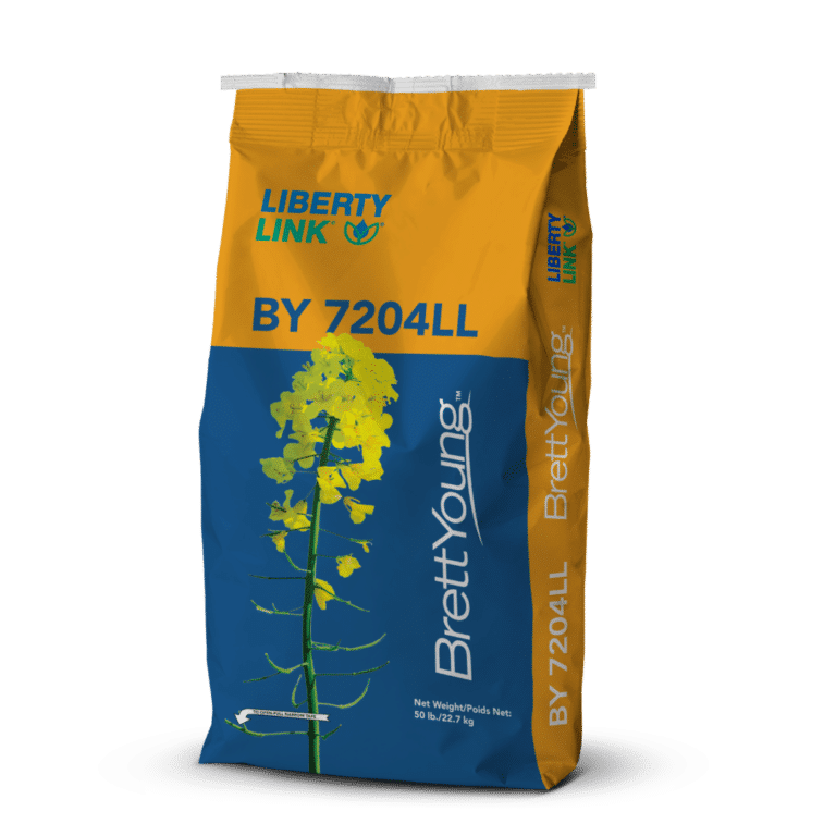 BY 7204LL - BrettYoung