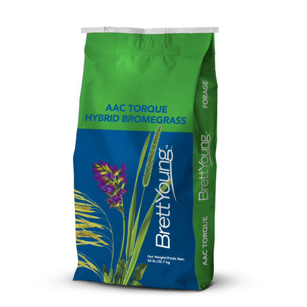 AAC Torque Hybrid Bromegrass - BrettYoung