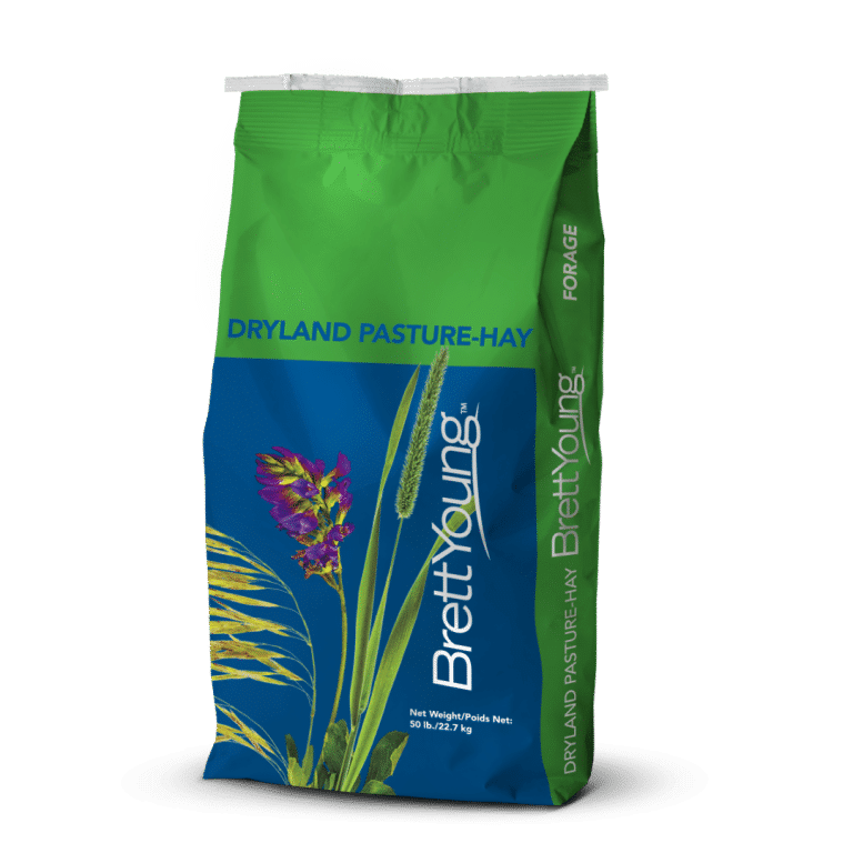 #22 – Dryland Pasture-Hay - BrettYoung